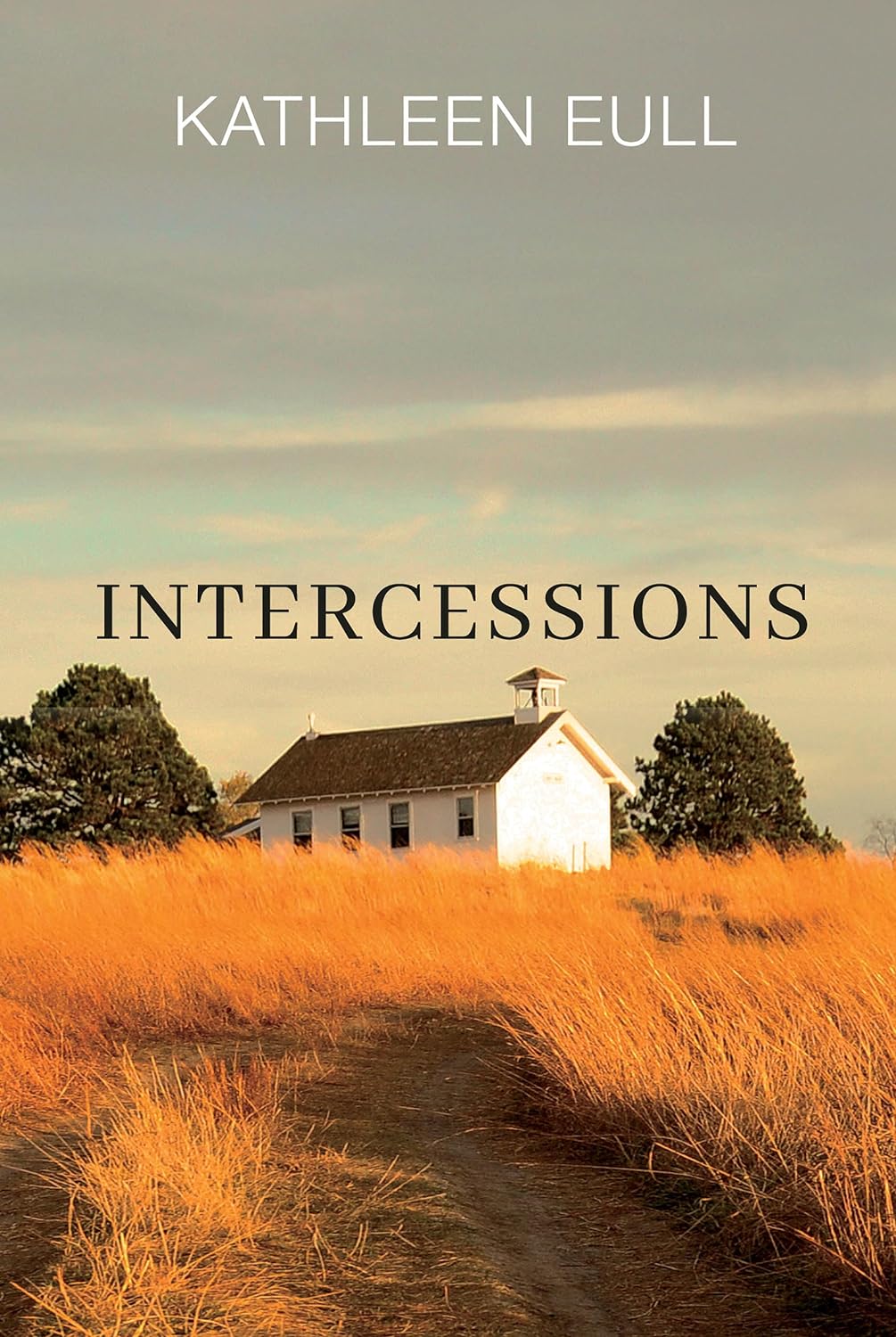 Intercessions - ElectraFox